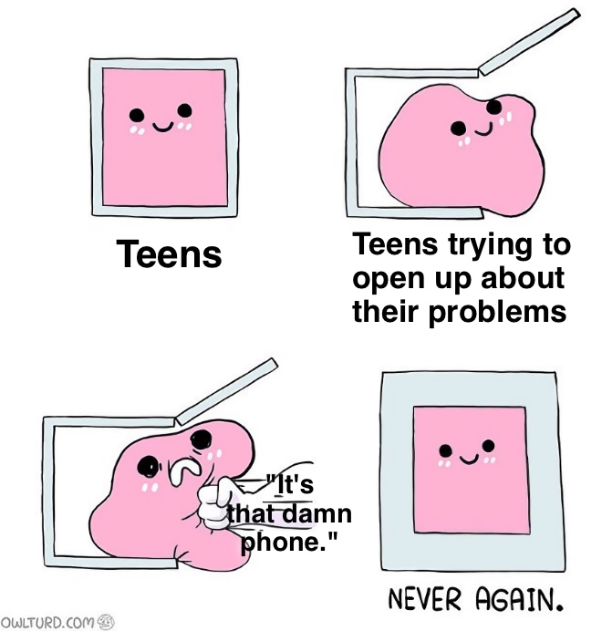 File Never Again Meme 2 jpg Meming Wiki