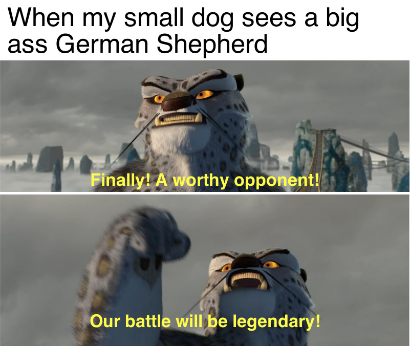 File:Finally! A worthy opponent! meme 1.jpg - Meming Wiki
