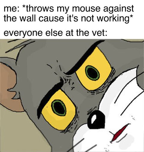 Unsettled Tom - Meming Wiki