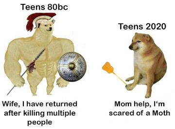 Swole Doge vs Cheems - Meming Wiki
