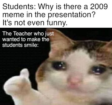 Thumbs Up Crying Cat - Meming Wiki