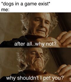 After All, Why Not? Why Shouldn't I Keep It? - Meming Wiki