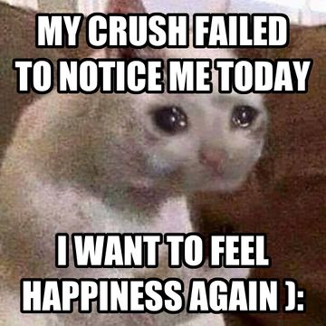 Crying Cat - Meming Wiki