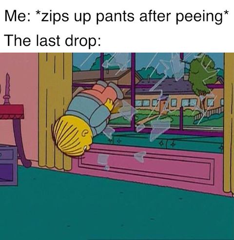 Ralph Wiggum Diving Through Window - Meming Wiki