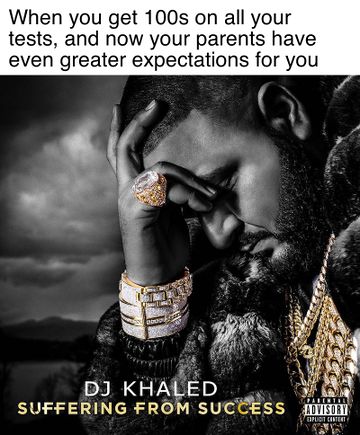 Suffering from Success - Meming Wiki