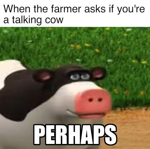 Perhaps - Meming Wiki