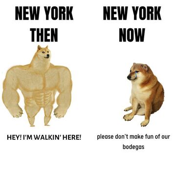 Bodega Bro - Meming Wiki