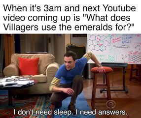 File:I Don't Need Sleep. I Need Answers meme 1.jpg - Meming Wiki