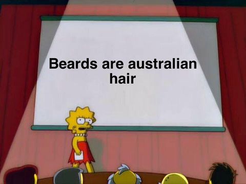 Lisa Simpson's Presentation - Meming Wiki