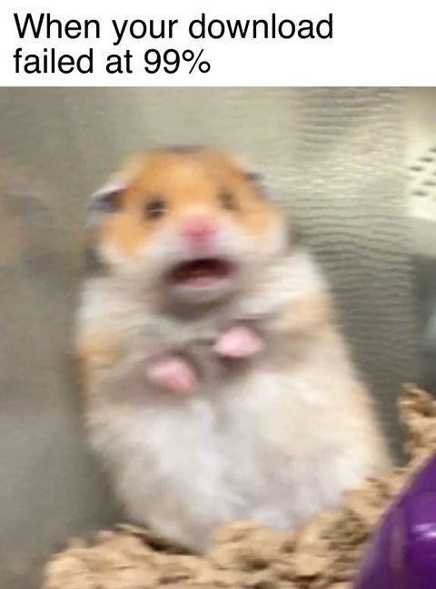 Scared Hamster - Meming Wiki