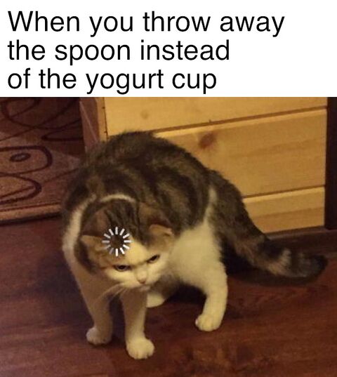 Loading Cat - Meming Wiki