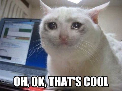 Crying Cat Meming Wiki
