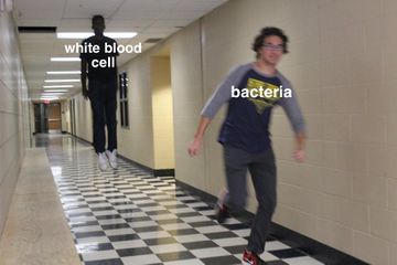 Floating Boy Chasing Running Boy - Meming Wiki