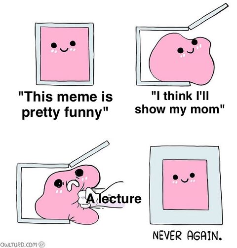 Never Again - Meming Wiki