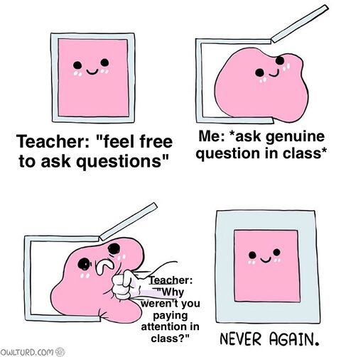 Never Again - Meming Wiki