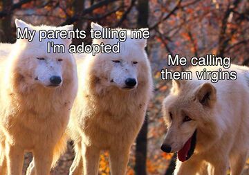 Laughing Wolves - Meming Wiki