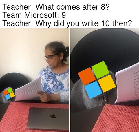 Woman Showing Papers to Grey Cat - Meming Wiki