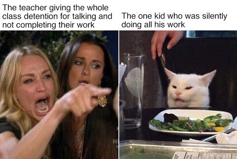 Woman Pointing At Cat - Meming Wiki