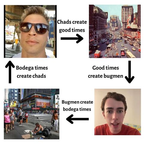 Bodega Bro - Meming Wiki