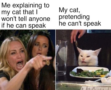 Woman Pointing At Cat - Meming Wiki