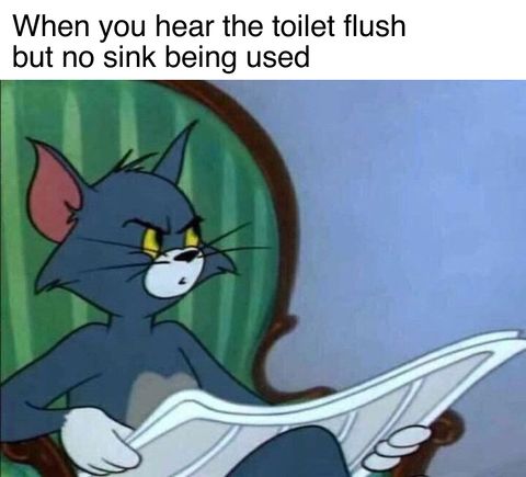 Tom Cat Reading a Newspaper - Meming Wiki