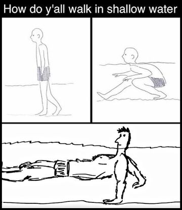 How Do Y'all Walk in Shallow Water - Meming Wiki