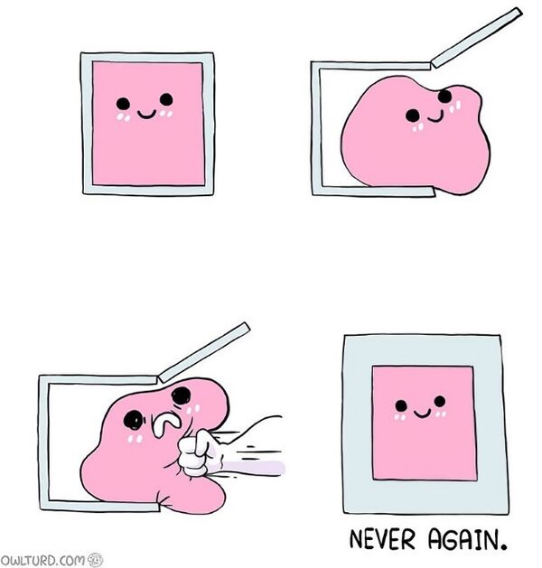 Never Again - Meming Wiki