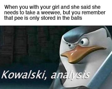 Kowalski - Meming Wiki