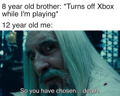 So you have chosen... death. - Meming Wiki