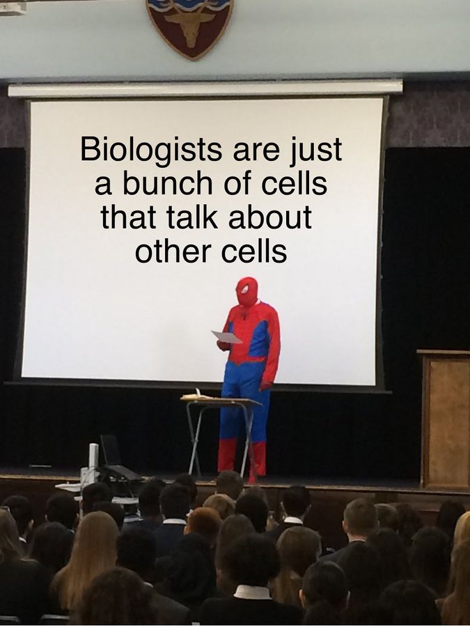 File:Spider-Man's Presentation meme 4.jpg - Meming Wiki