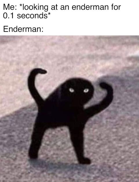 Cursed Cat - Meming Wiki