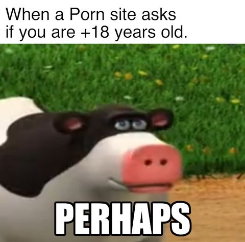 Perhaps - Meming Wiki