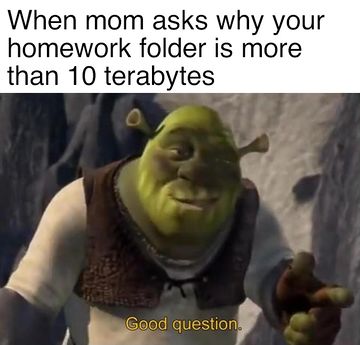 Good Question - Meming Wiki