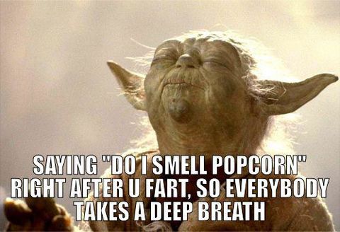 Yoda Smell - Meming Wiki